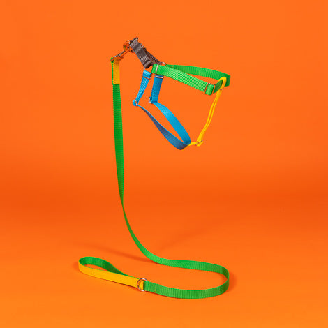 Color Block Harness Blue/Yellow/Green/Grey, Dog Harnesses – Ware of the Dog